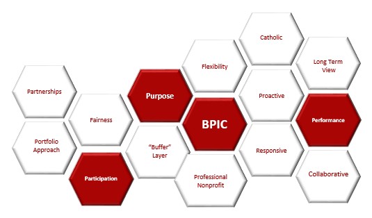 BPIC as a Risk Financing Strategy